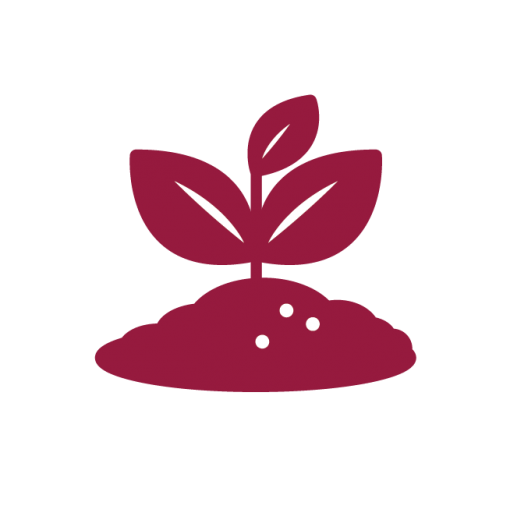 delayed growth-01 | All Link Medical SG