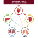 tcm 5 elements theory | All Link Medical SG