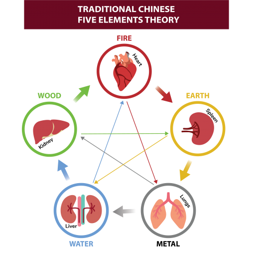 tcm 5 elements theory | All Link Medical SG